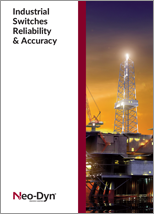 Catalogs and Brochures | Neodyn