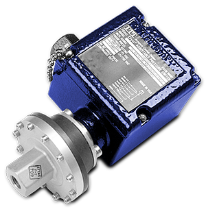 110P NEMA 4X, 7, 9 & 13 Pressure Switch/Internal Adjustment | Neodyn