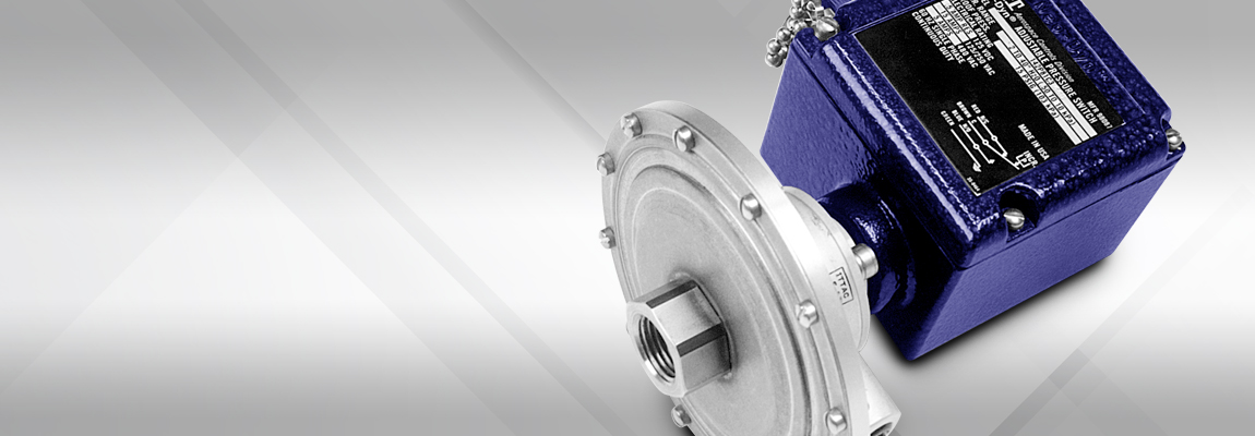 Compact Adjustable, Vacuum and General Purpose Switches | Neodyn